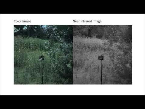 Example RGB-NIR - Vegetation – Spectral Devices