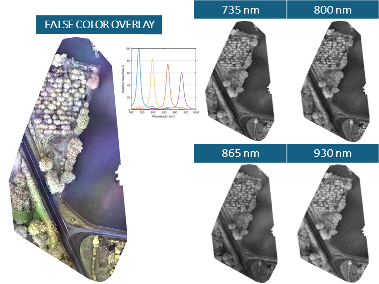 Example - Orthomosaic Mapping with BIO Camera – Spectral Devices