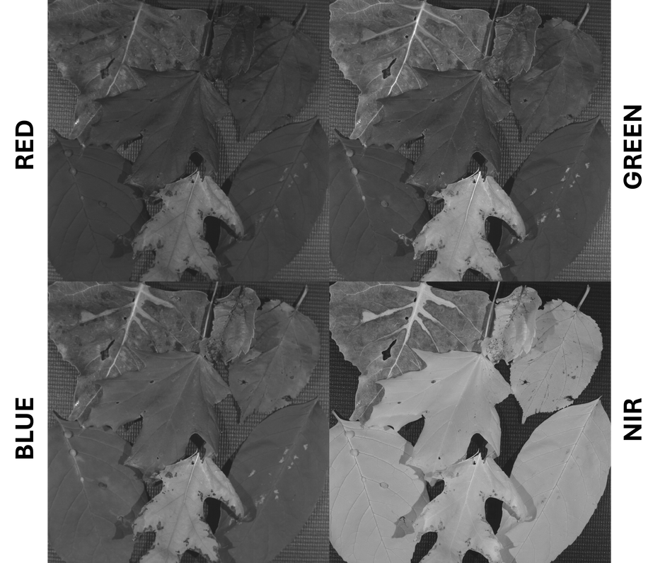 Applications – Spectral Devices