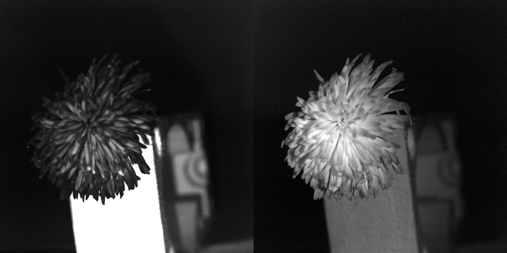 Example UV-NIR - Flower 1 – Spectral Devices