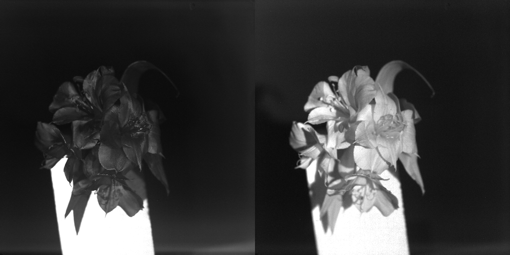 Example UV-NIR - Flower 2 – Spectral Devices