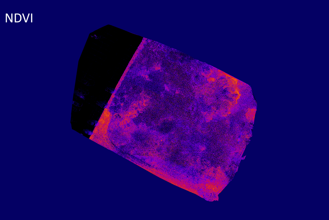 Example NDVI Survey (AGRI) – Spectral Devices