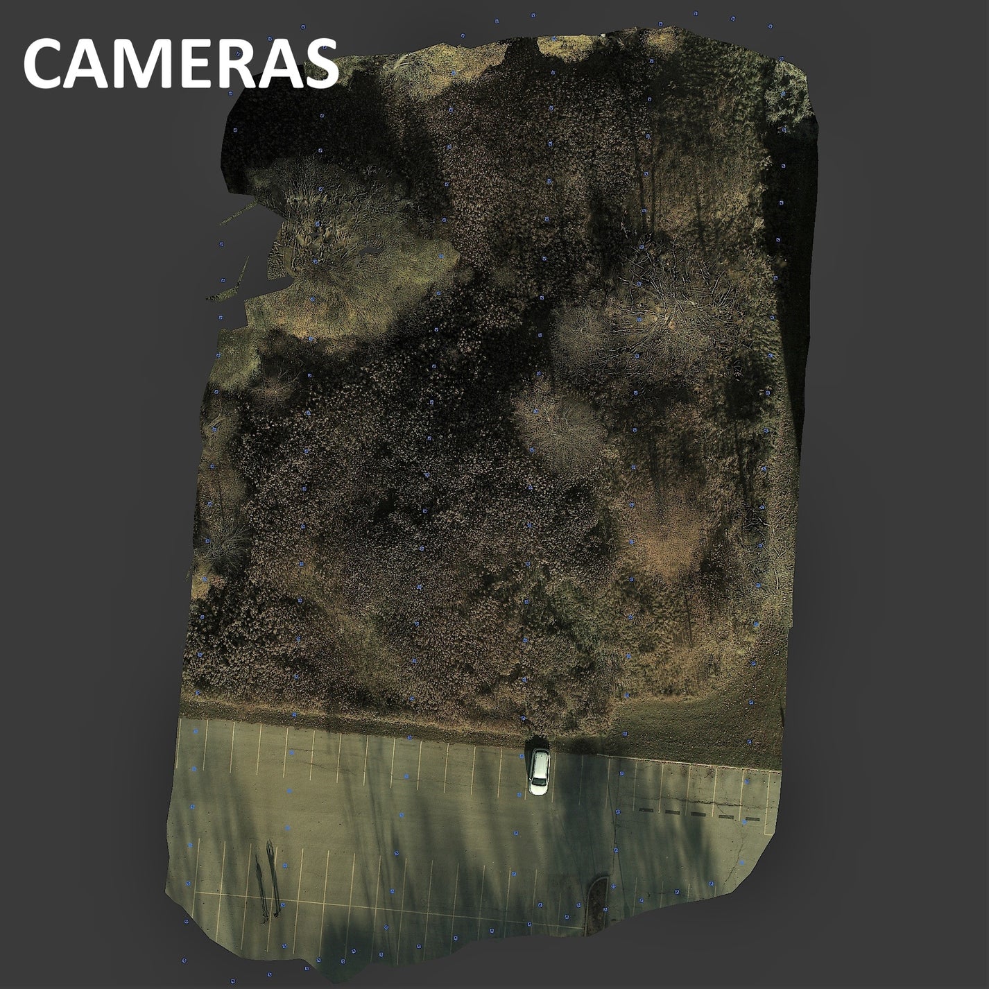 Example NDVI Survey – Spectral Devices