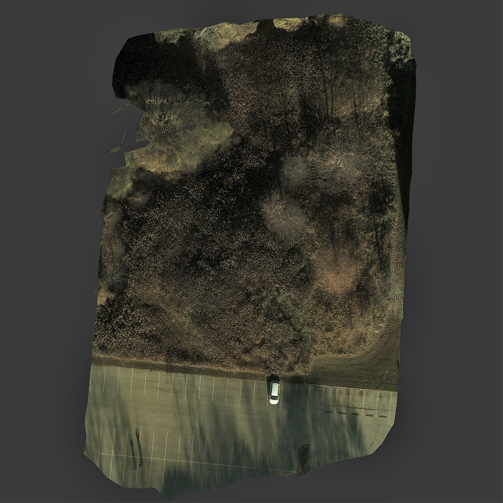 Example NDVI Survey – Spectral Devices