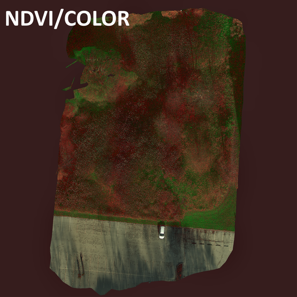 Example NDVI Survey – Spectral Devices