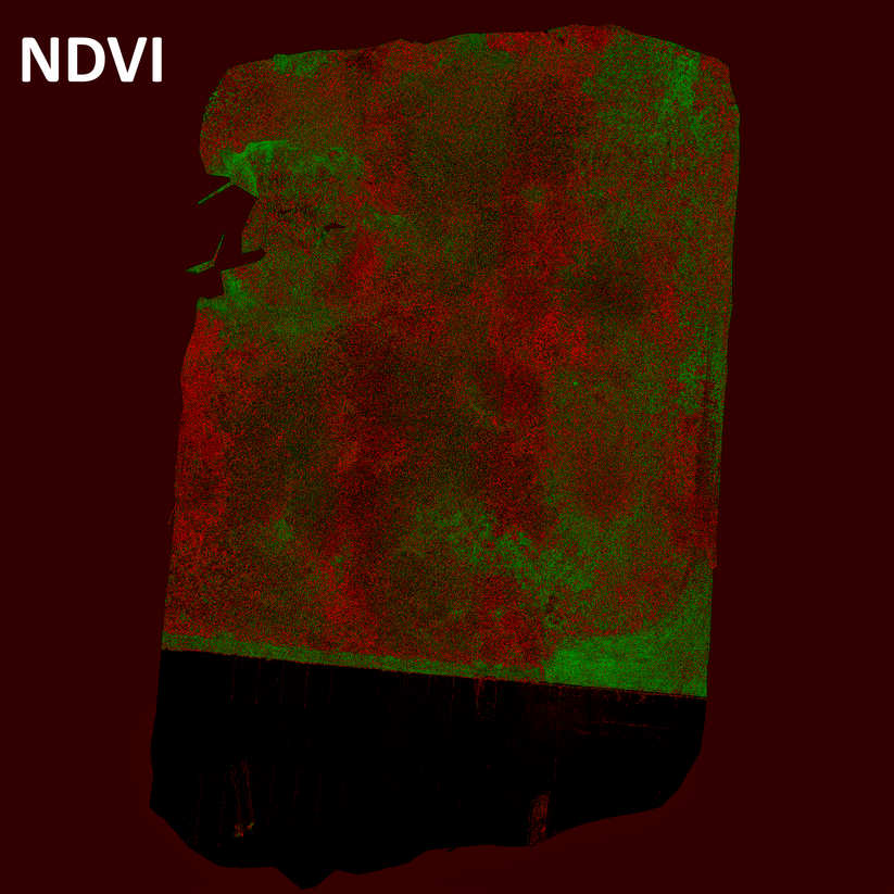 Example NDVI Survey – Spectral Devices